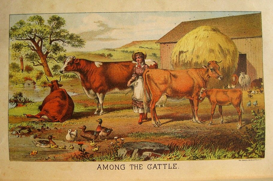 1882 FARMING Antique ILLUSTRATED FARM GUIDE Livestock HORSE Cow POULTRY ...