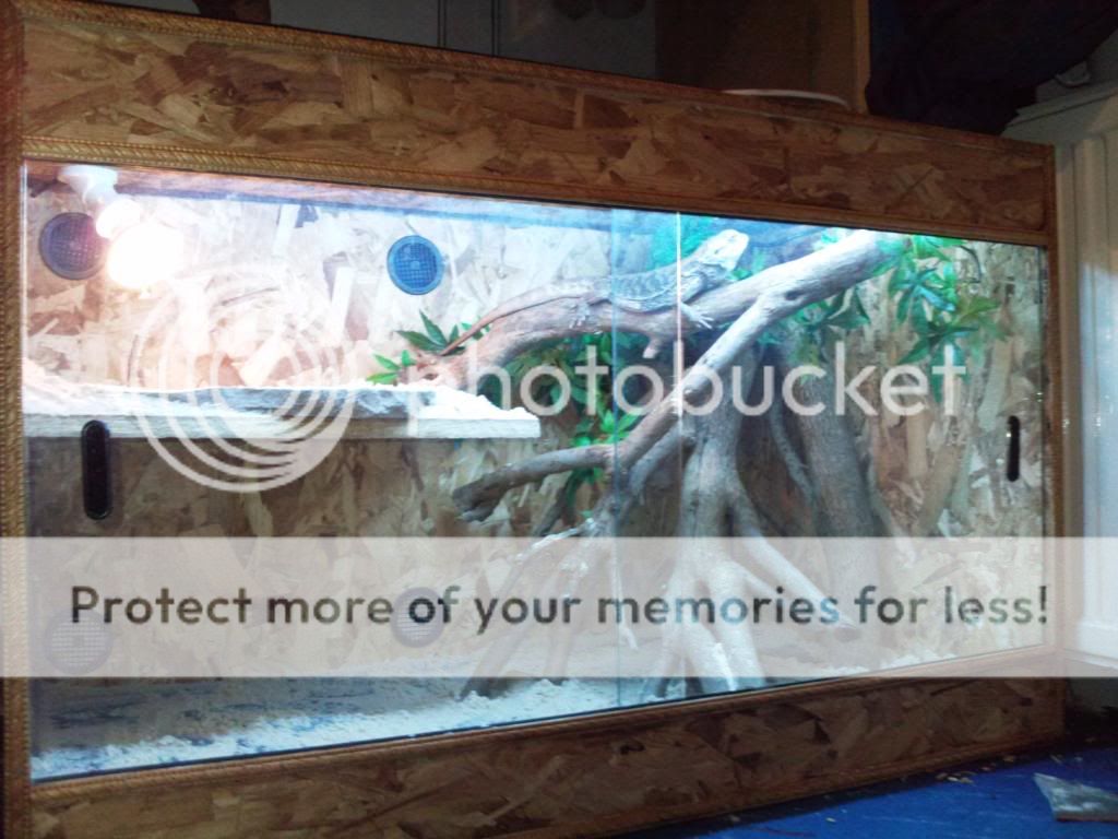my new beardie viv i built | Reptile Forums